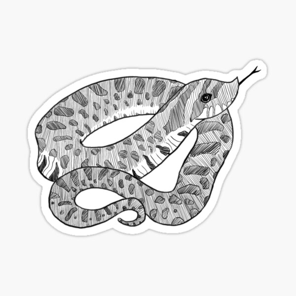 "Hognose Sketch" Sticker for Sale by colbylsoldan | Redbubble