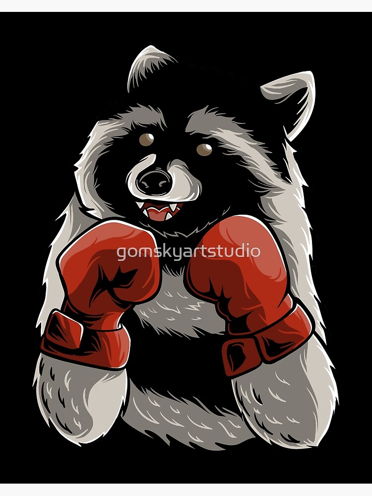 "raccoon boxing" Poster by gomskyartstudio | Redbubble