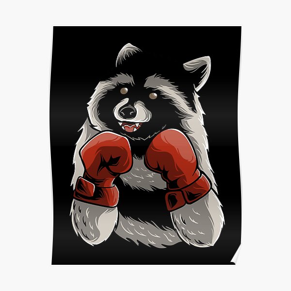 "raccoon boxing" Poster by gomskyartstudio | Redbubble