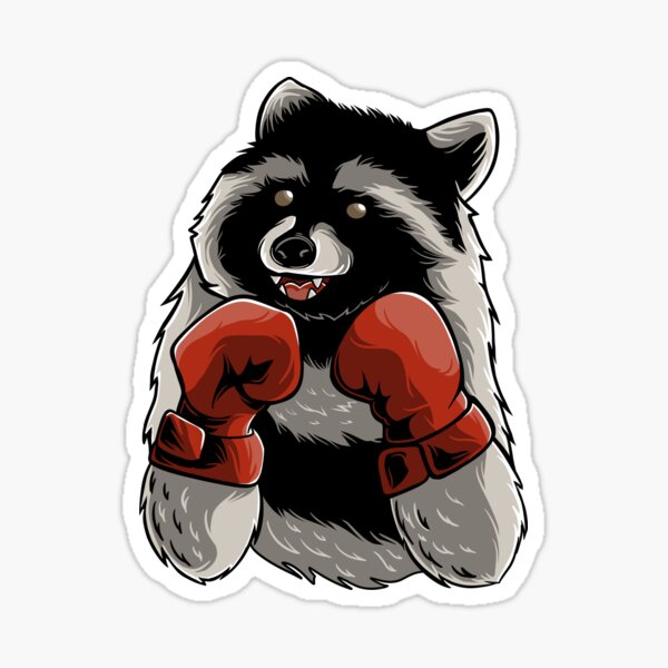 "raccoon boxing" Sticker for Sale by gomskyartstudio | Redbubble