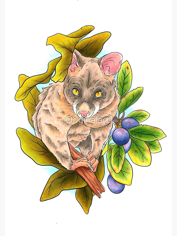"Possum" Poster by Originalart1 | Redbubble