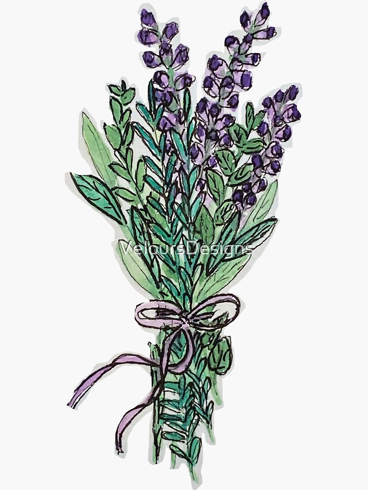 "Herbs Bundle" Sticker by VeloursDesigns | Redbubble