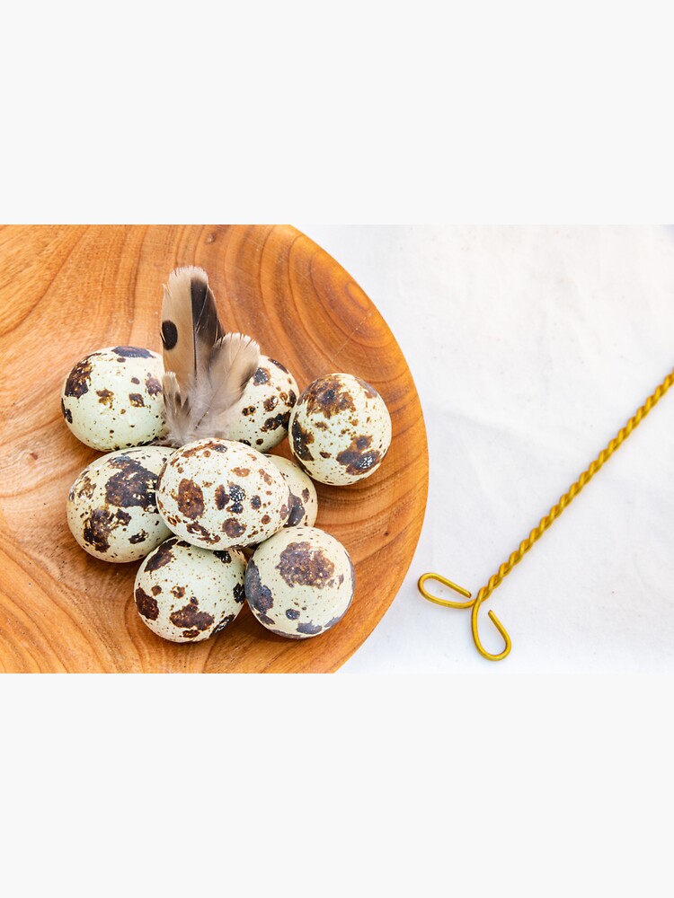 "Quails eggs " Sticker by roxanebay | Redbubble
