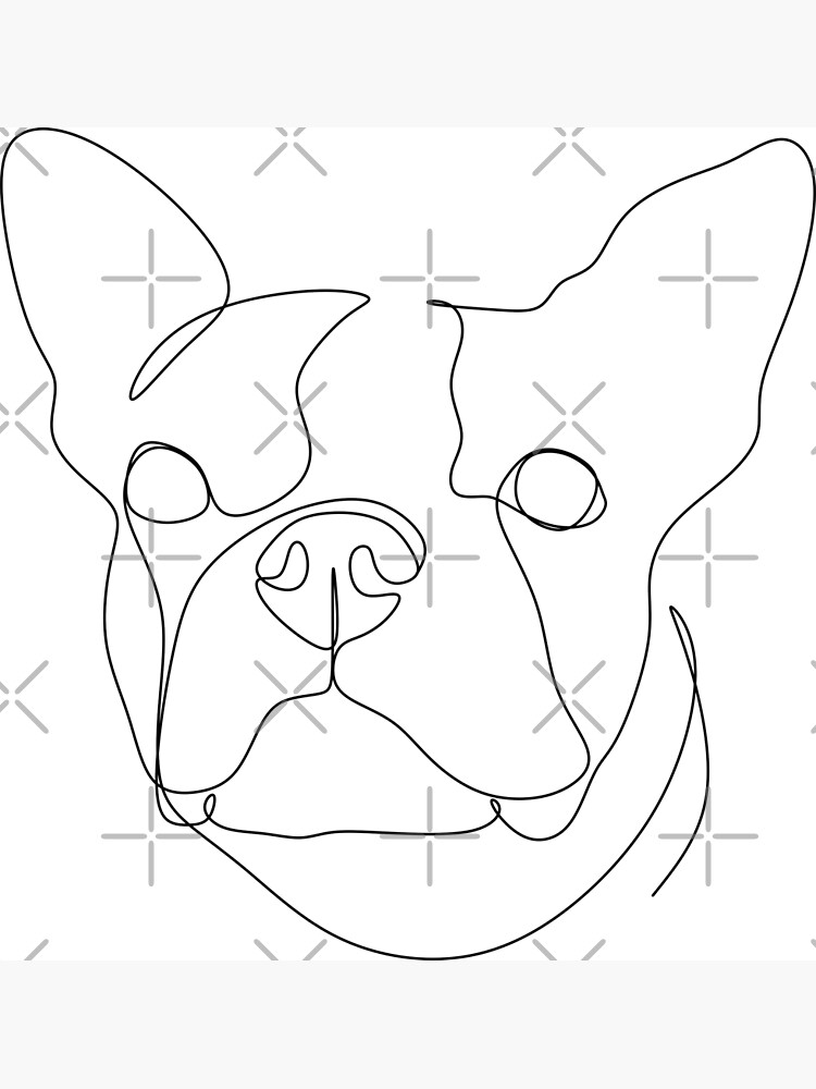 Lámina fotográfica «Ilustración de línea de perro Perro Line art ...