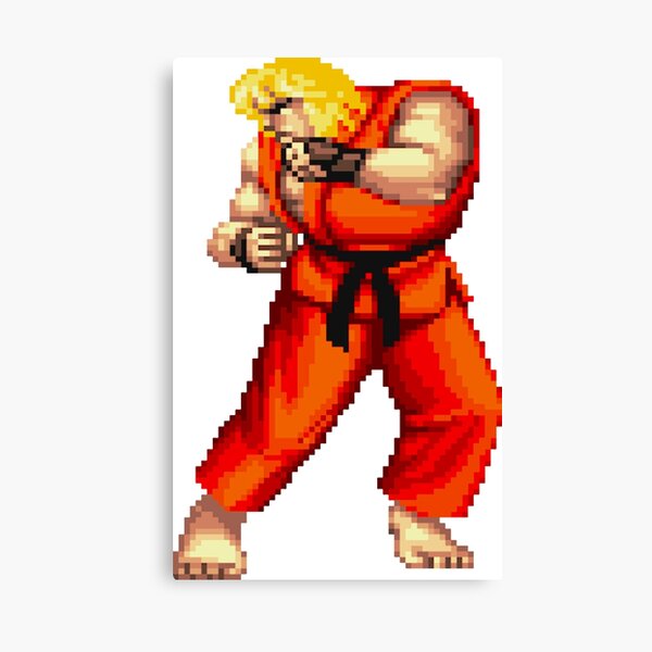 Hadoken Hadouken Shoryuken Street Fighter Ryu Ken Akuma Capcom Canvas ...