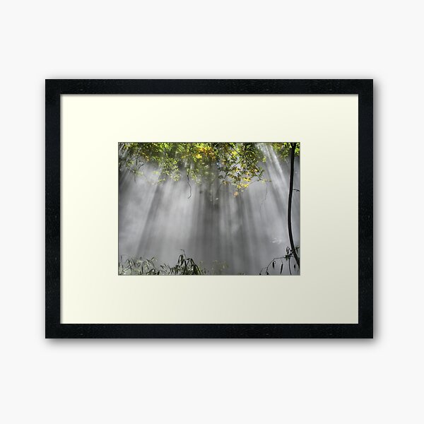 "Zoonami" Framed Art Print for Sale by MonnieR | Redbubble