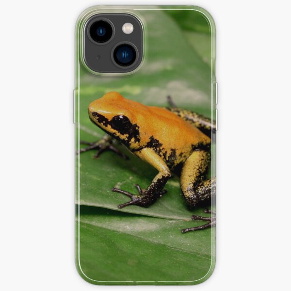 "Black-legged poison dart frog" iPhone Case for Sale by rootedrender ...