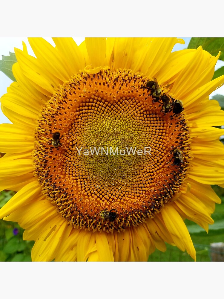 Yawnmower Merch & Gifts for Sale | Redbubble