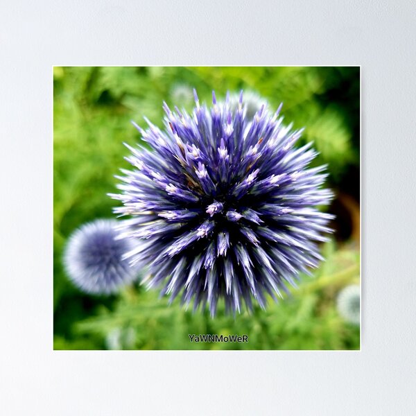 YaWNMoWeR Shop | Redbubble