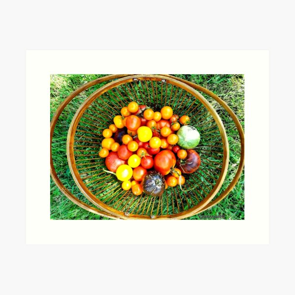 Yawnmower Gifts & Merchandise for Sale | Redbubble