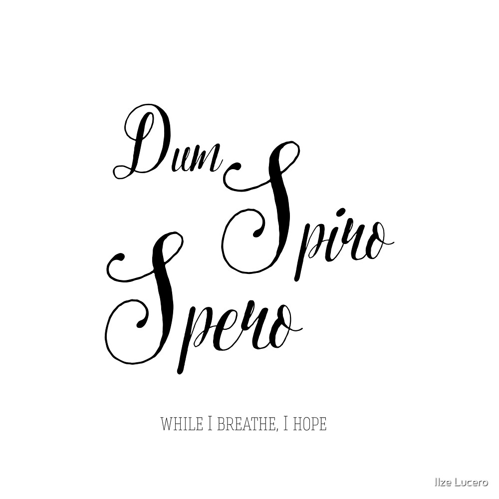 "Dum Spiro Spero - Latin quote while I breathe I hope" by Ilze Lucero ...