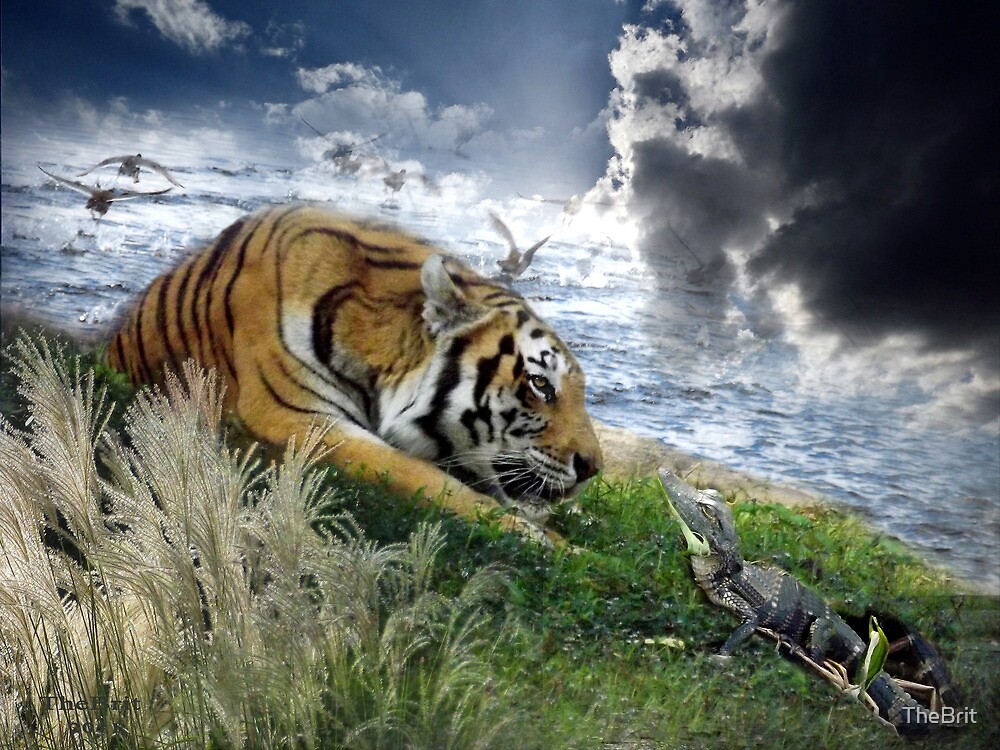 "Baby alligator makes friends with a curious cat!" by TheBrit | Redbubble