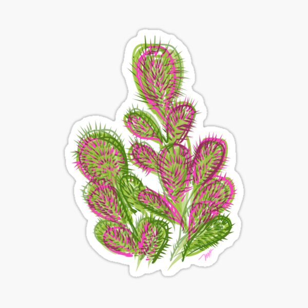"Prickly Pear Pink Cactus Nopal" Sticker for Sale by meganelizdraws ...