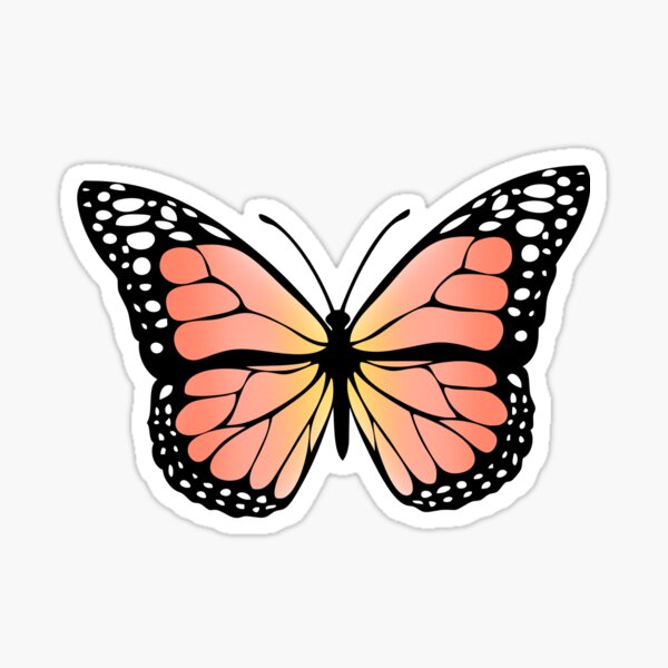 "Peach Monarch Butterfly" Sticker for Sale by trinityyyyart | Redbubble