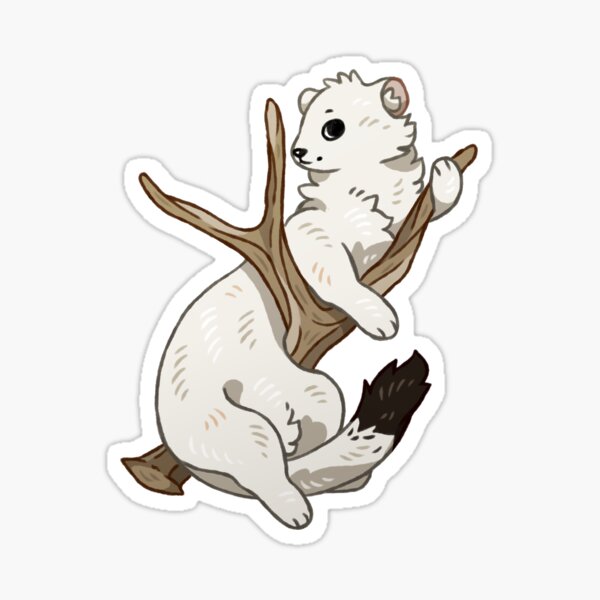 Stoat Gifts & Merchandise for Sale | Redbubble