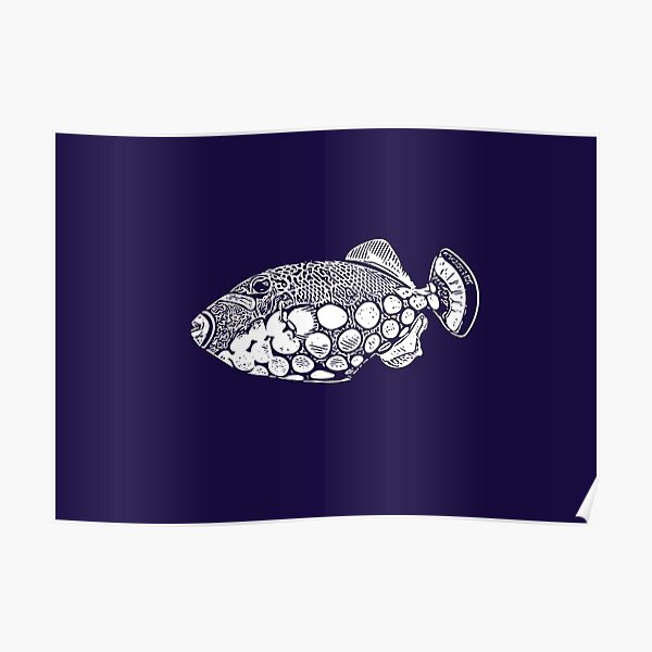 "Clown Triggerfish White Print " Poster for Sale by designsasstultd ...