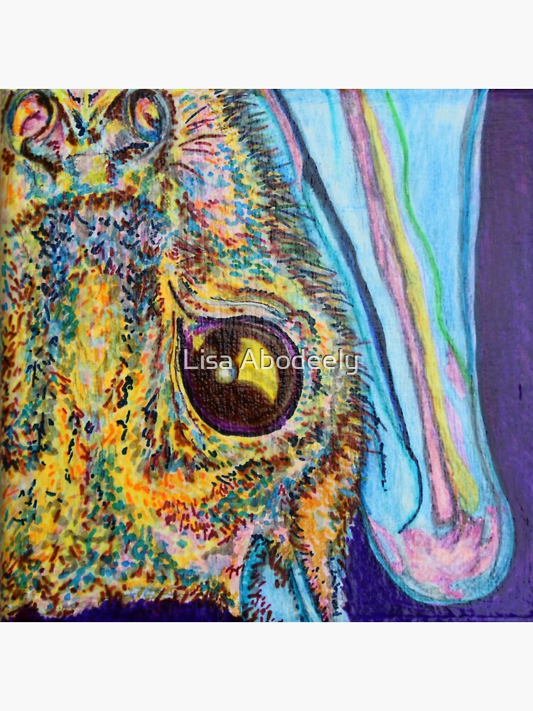 "Bulmer Fruit Bat" Sticker by mahaloyall | Redbubble