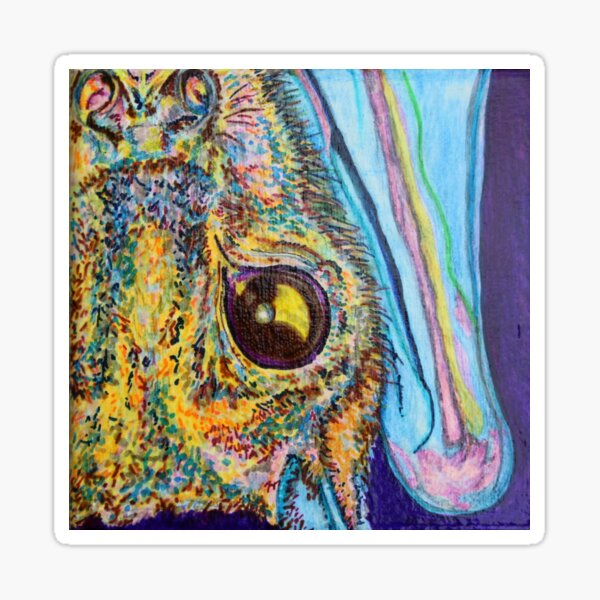 "Bulmer Fruit Bat" Sticker by mahaloyall | Redbubble