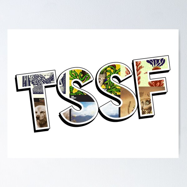 "The Story So Far - TSSF All Albums Art" Poster for Sale by jelemeno ...