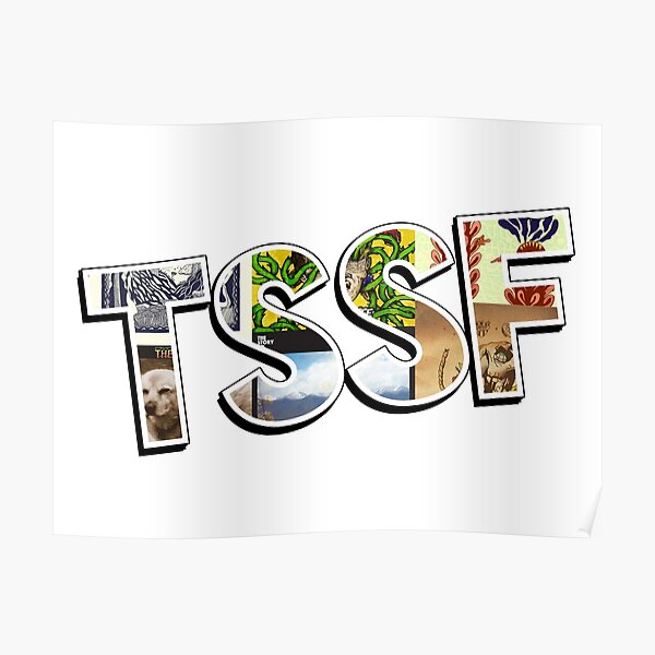 "The Story So Far - TSSF All Albums Art" Poster for Sale by jelemeno ...
