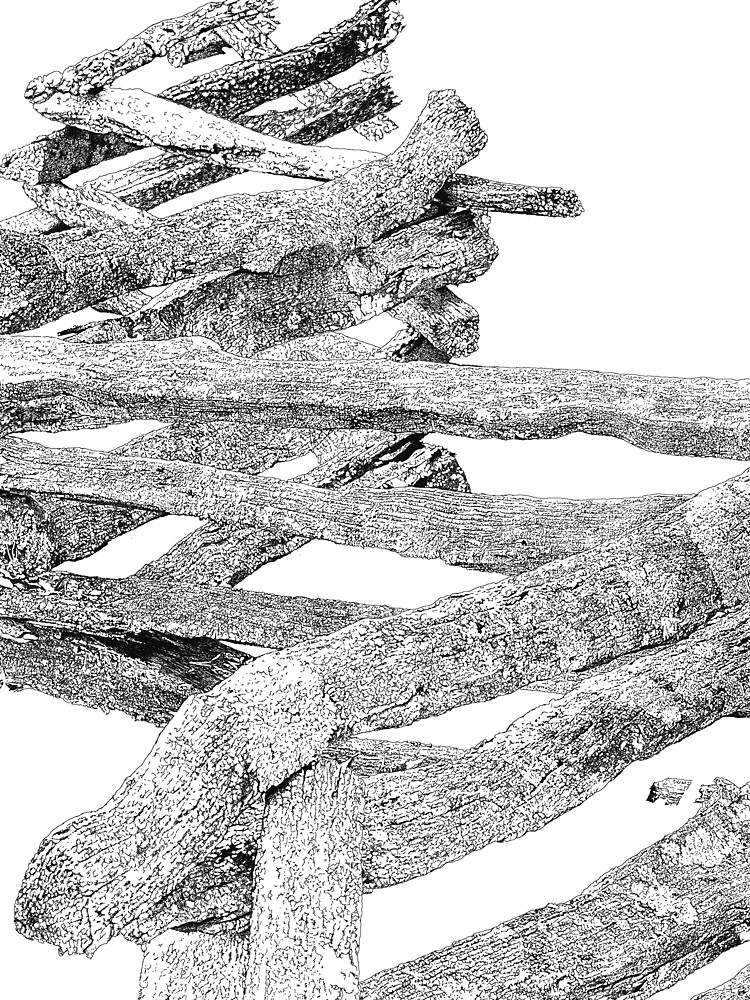 "split rail fence, drawing" Scarf for Sale by dnparker | Redbubble