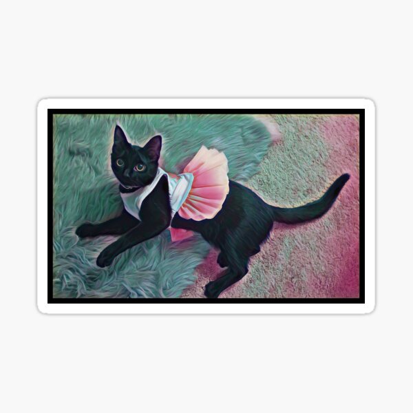 "Princess Tutu" Sticker for Sale by Heroandthefloof | Redbubble