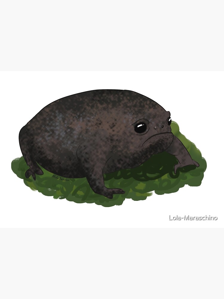 "Black Rain Frog sticker frog spotting grumpy toad " Poster for Sale by Lola-Maraschino | Redbubble