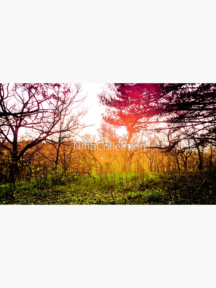 "Orange Magenta Fantasy Forest Landscape Silhouette " Sticker for Sale ...