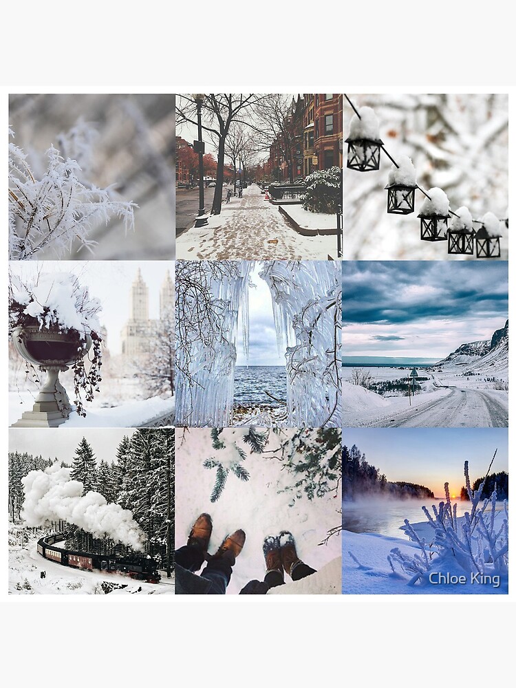 "Winter Mood Board 1" Photographic Print for Sale by Chloe King | Redbubble