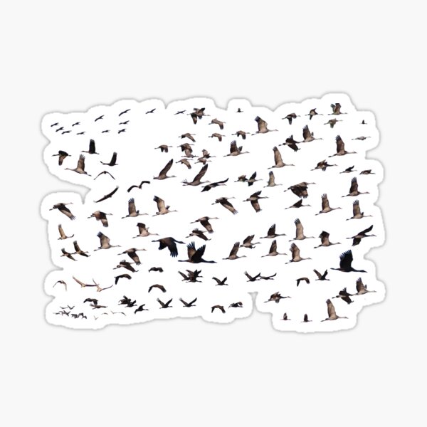 Cochise Merch & Gifts for Sale | Redbubble