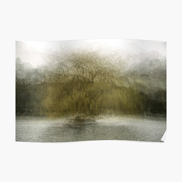 "wPortrait of a , Weeping willow tree Helston lake Cornwall ...