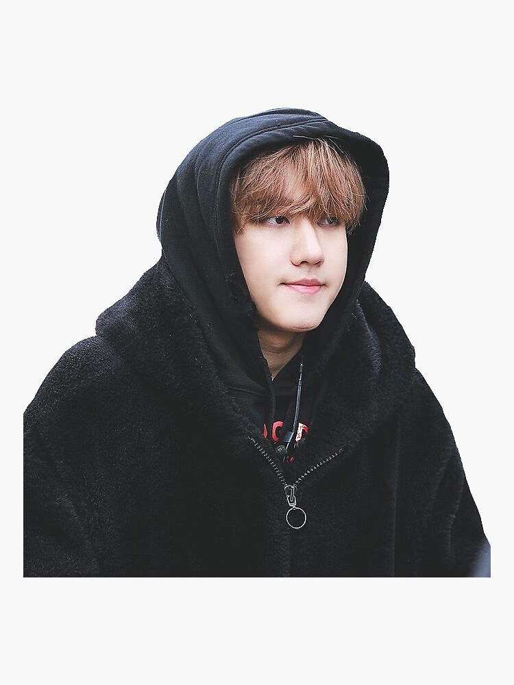 "Stray Kids- Changbin" Sticker for Sale by squidneekoart | Redbubble