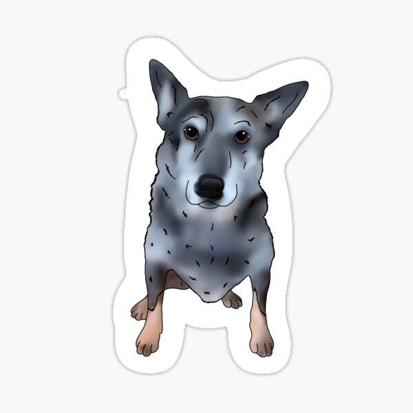 "Blue Heeler Art" Sticker by tayburson | Redbubble