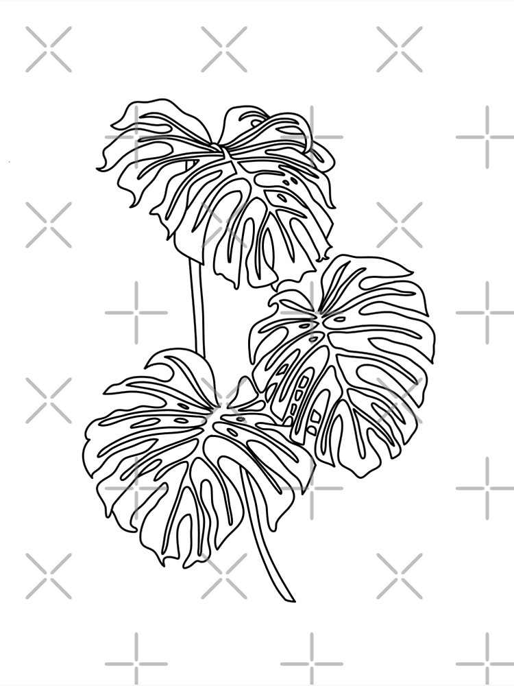 "Monstera Line Art" Poster by minimallineart | Redbubble