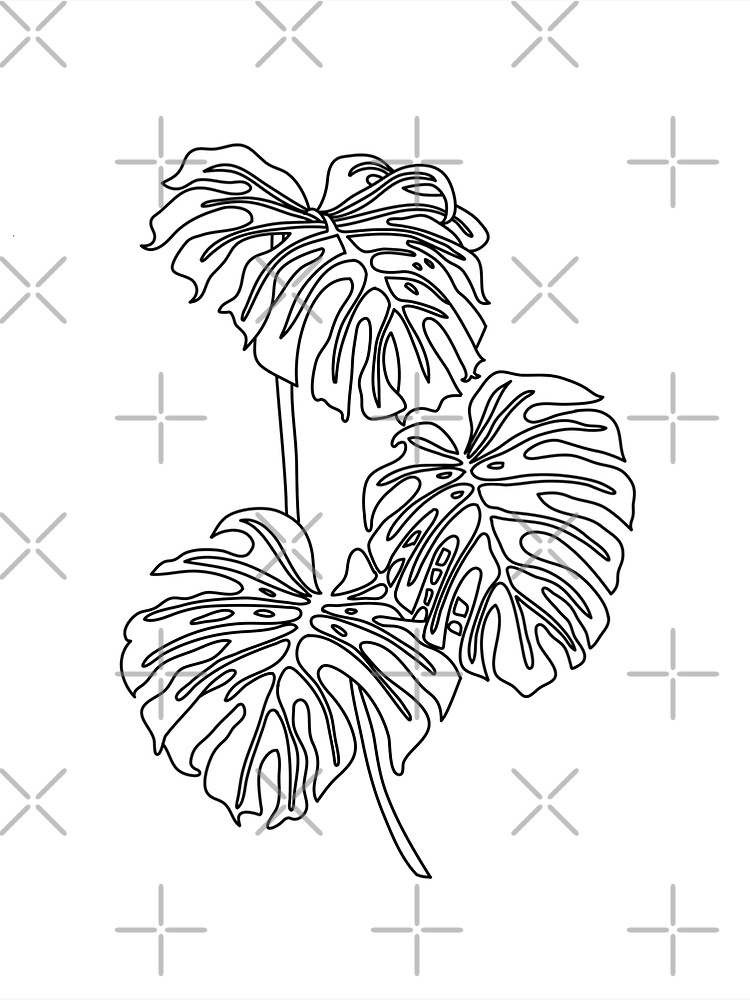 "Monstera Line Art" Sticker for Sale by minimallineart | Redbubble