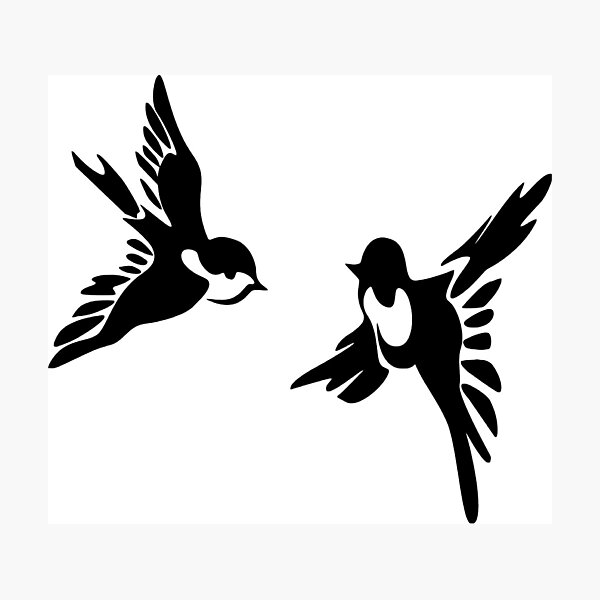 Stylized Birds Photographic Prints | Redbubble