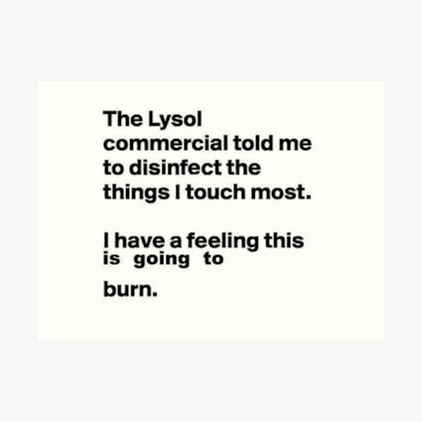 "Lysol, disinfect, burn, funny, coronavirus, meme," Art Print by ...