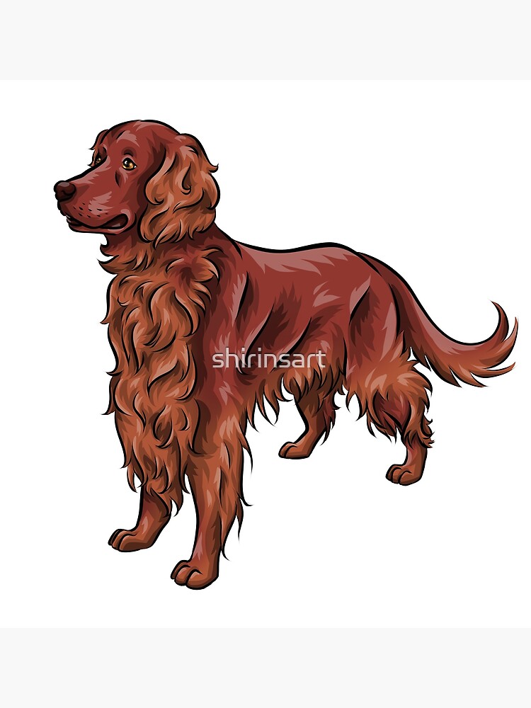 "Red Setter | Cartoon Dog Art" Poster by shirinsart | Redbubble