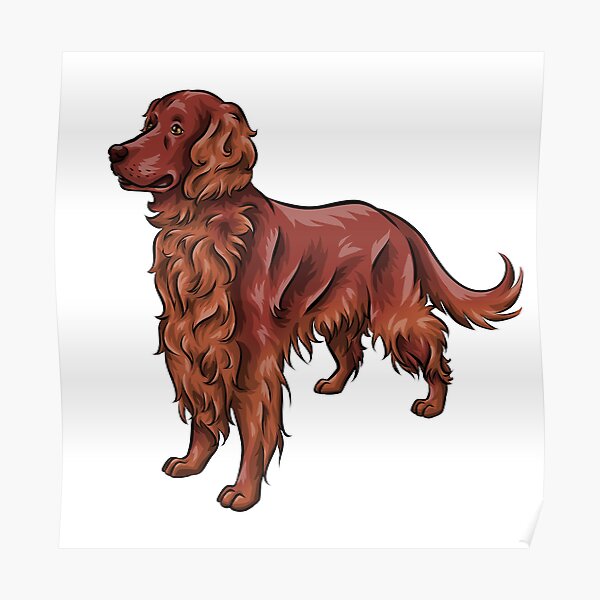 "Red Setter | Cartoon Dog Art" Poster by shirinsart | Redbubble