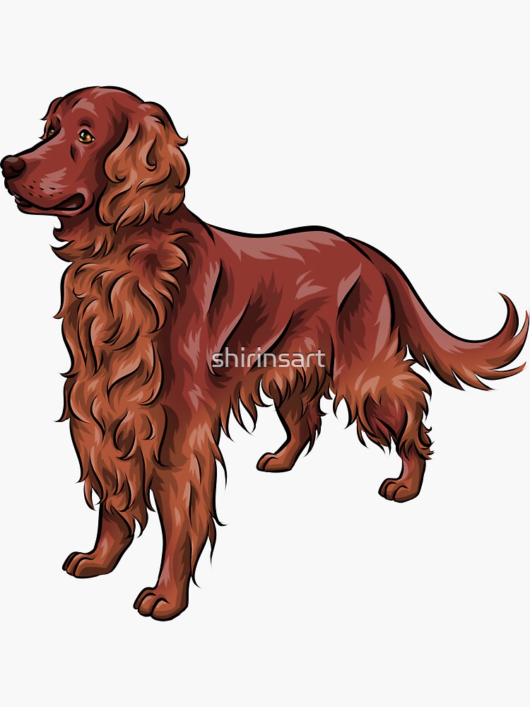 "Red Setter | Cartoon Dog Art" Sticker for Sale by shirinsart | Redbubble