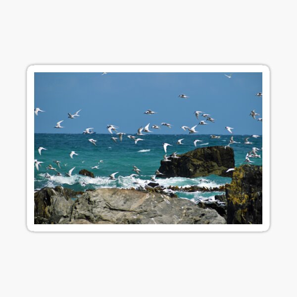 "Taking Flight" Sticker by BiscuitSnack | Redbubble