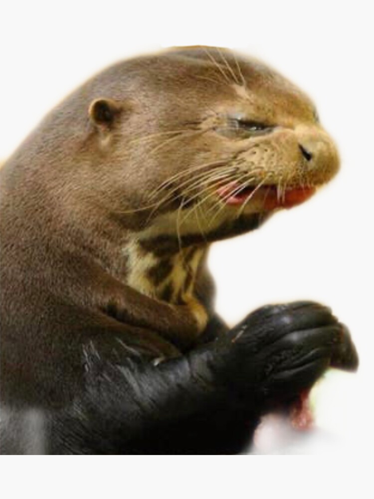 "Angry Otter" Sticker for Sale by chloeajohnsen | Redbubble