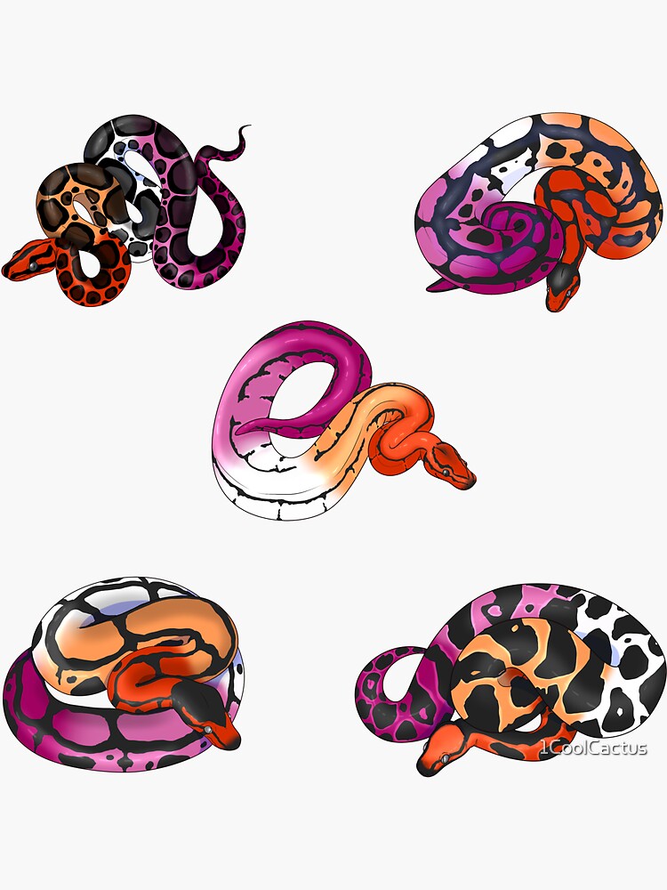 "Lesbian Pride Python Stickers" Sticker for Sale by 1CoolCactus | Redbubble