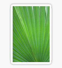 Palm Leaf: Stickers | Redbubble
