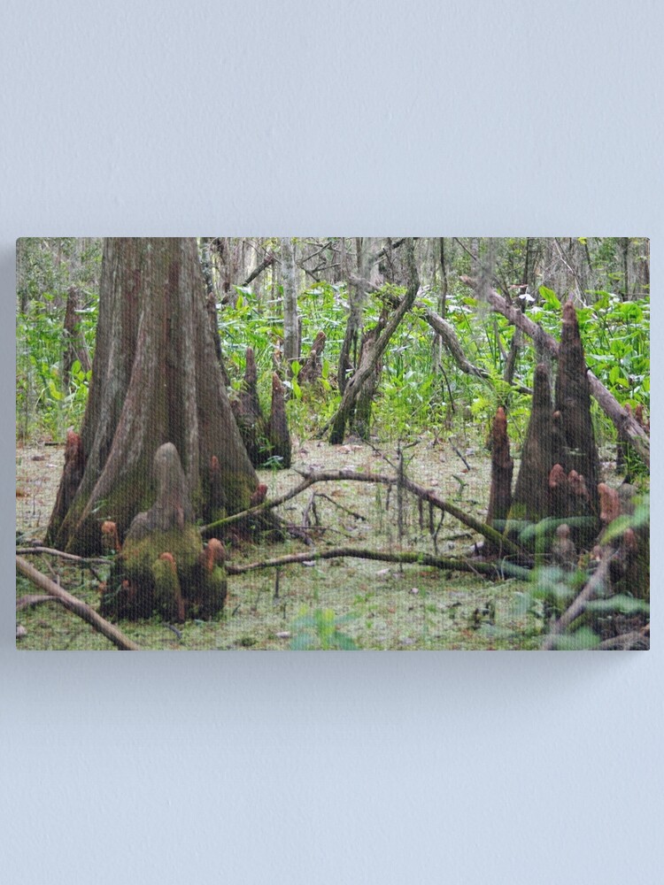 "Swamp Floor" Canvas Print by WisePhoto | Redbubble