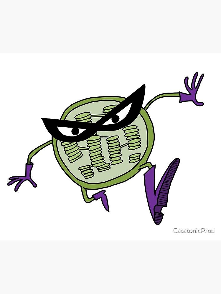 "Chloroplast" Poster for Sale by CatatonicProd | Redbubble