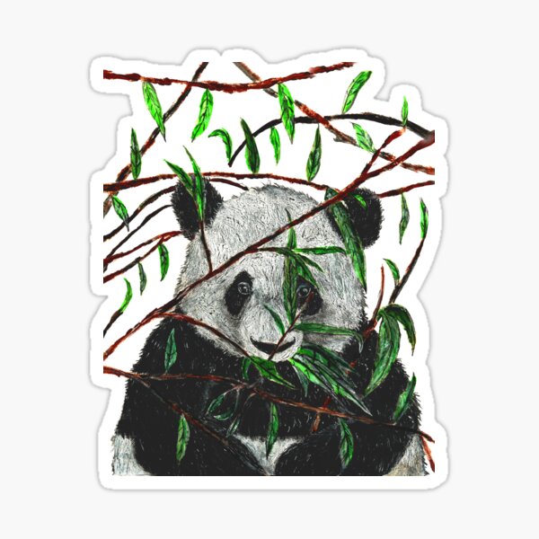 "Pan pan" Sticker by cmcewan | Redbubble