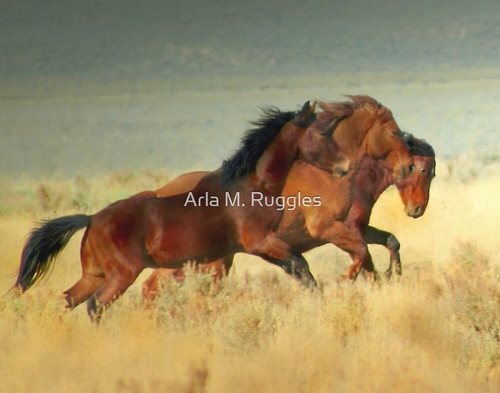 "Band Of Brothers" by Arla Ruggles | Redbubble