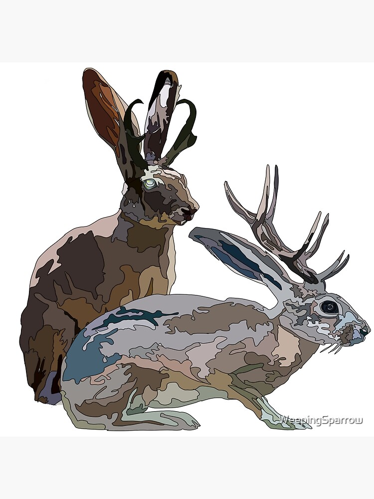 "Jackalope " Poster for Sale by WeepingSparrow | Redbubble