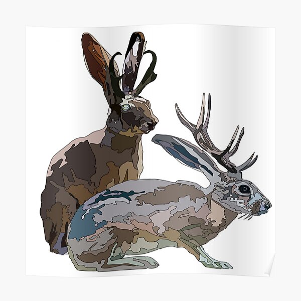 "Jackalope " Poster for Sale by WeepingSparrow | Redbubble